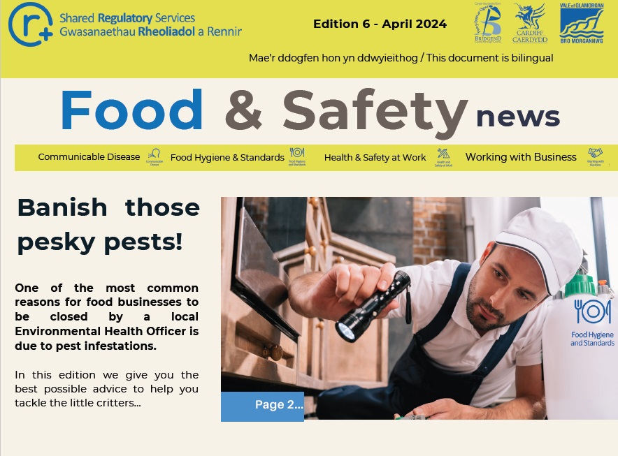 Shared Regulatory Services