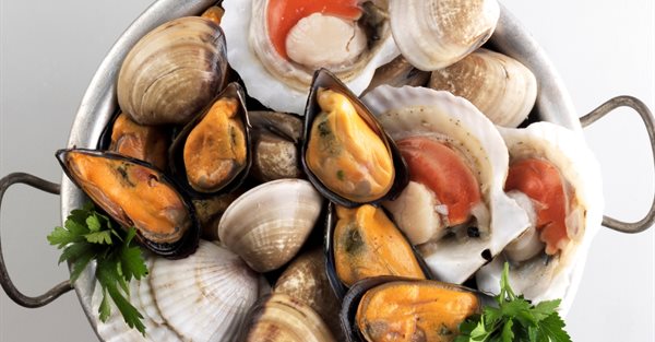 Safe shellfish handling