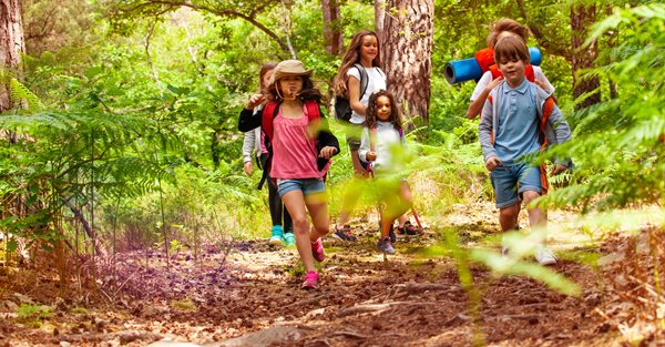 How to enjoy Forest School activities safely